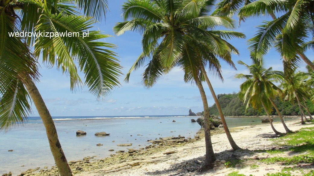 Tonga, relacja z podróży, informacje. | Blog podróżniczy Paweł Krzyk